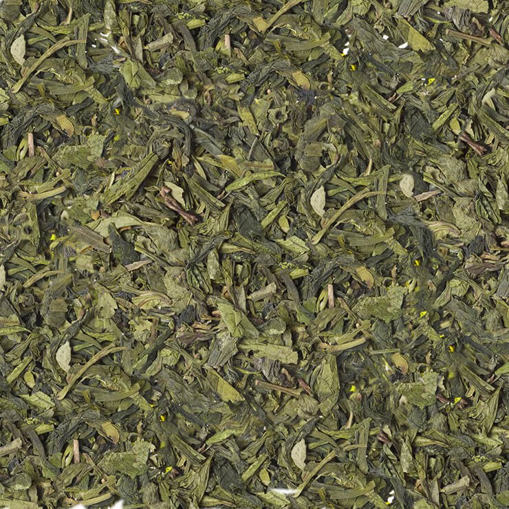 GREEN TEA SENSHA – U-Roast Coffee Greece